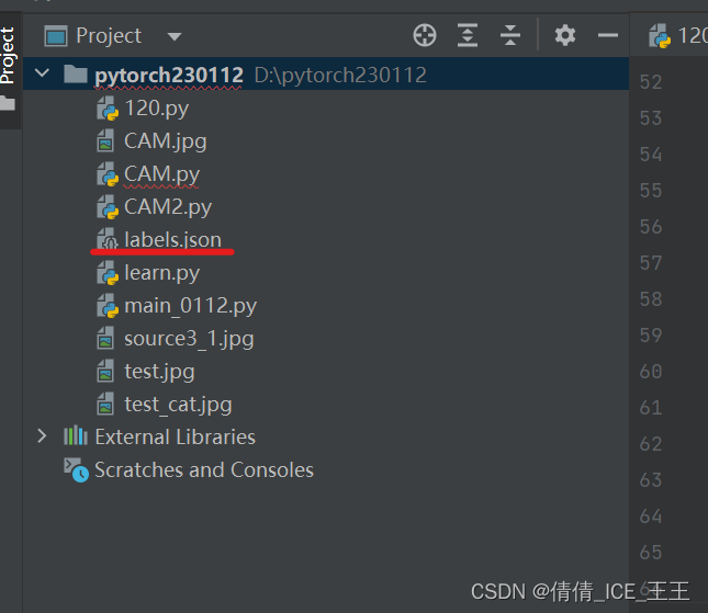 基于pytorch的CAM代码单张图片实战（超详细版，修改部分已经详细标出）_cam图代码-CSDN博客