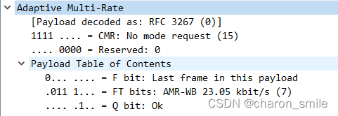 AMR-WB 比特流---单通道多帧，120ms RTP打包_rtp payload format amr-wb-CSDN博客