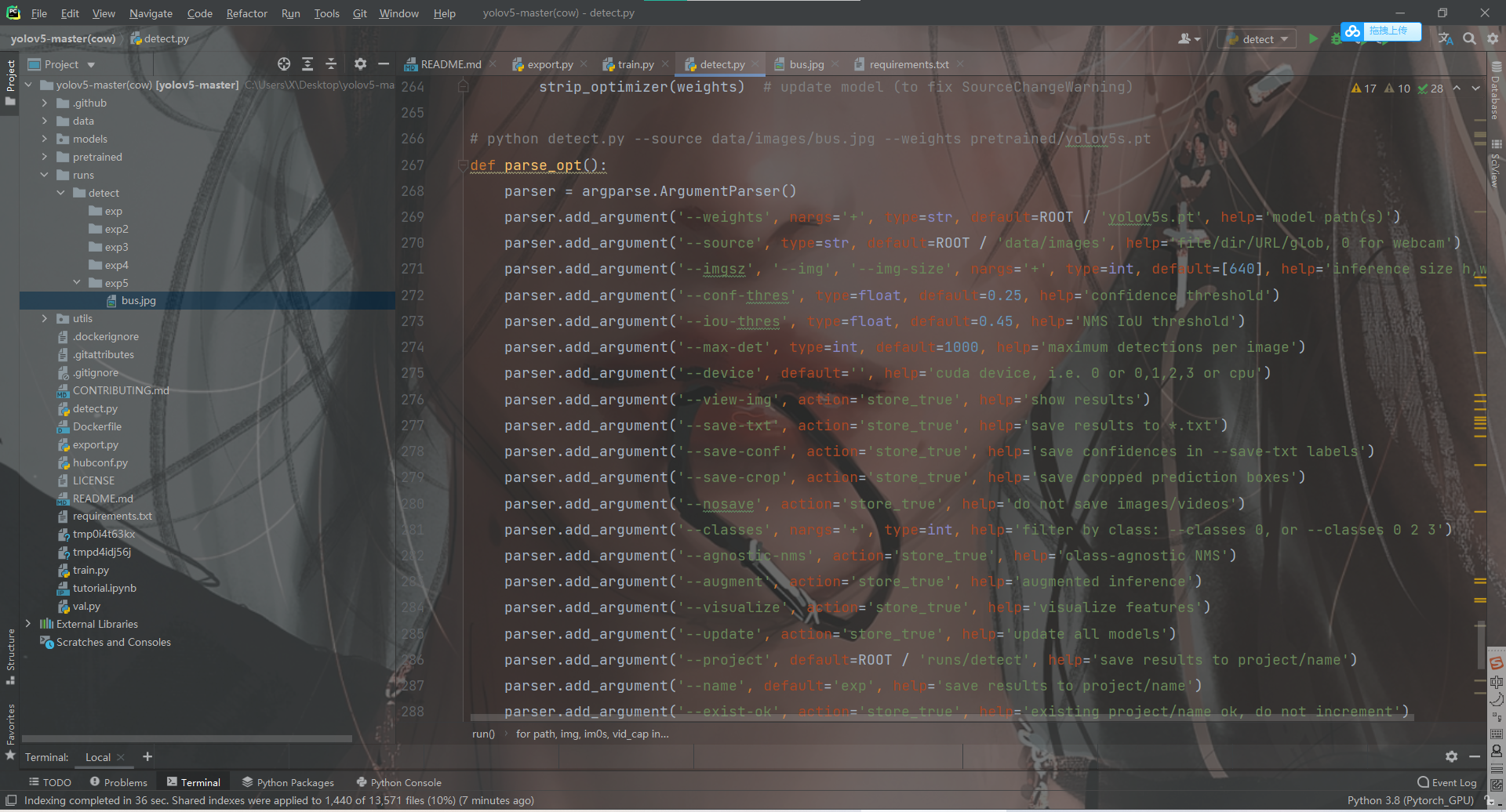 简单快速建立pytorch环境YOLOv5目标检测 模型跑起来(超简单）_pytorch yolo-CSDN博客