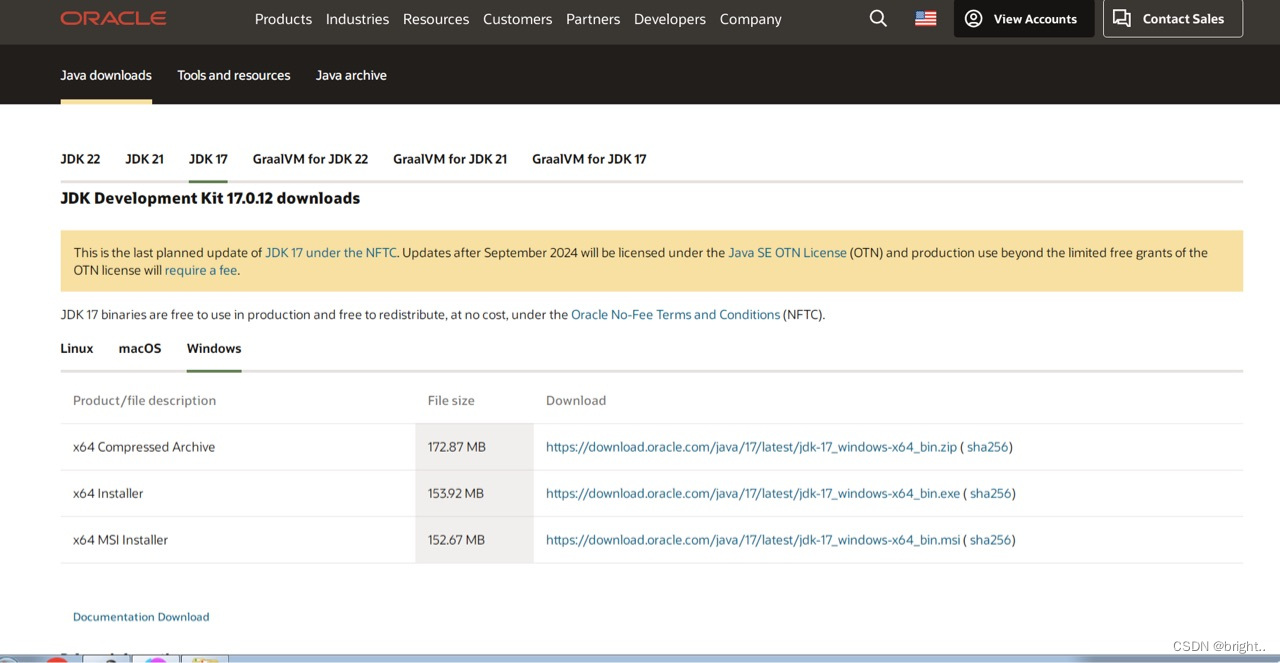 Java17的安装和配置_java17安装-CSDN博客