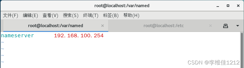 系统学习Linux-DNS服务器（一）_named zone 文件-CSDN博客