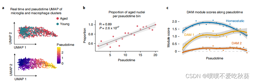 文章阅读：Single-cell analysis of the aging female mouse hypothalamus_single-cell atlas of the aging ...