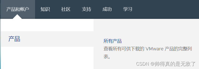 下载安装VMware Workstation Pro 16.25_vmware16.25-CSDN博客