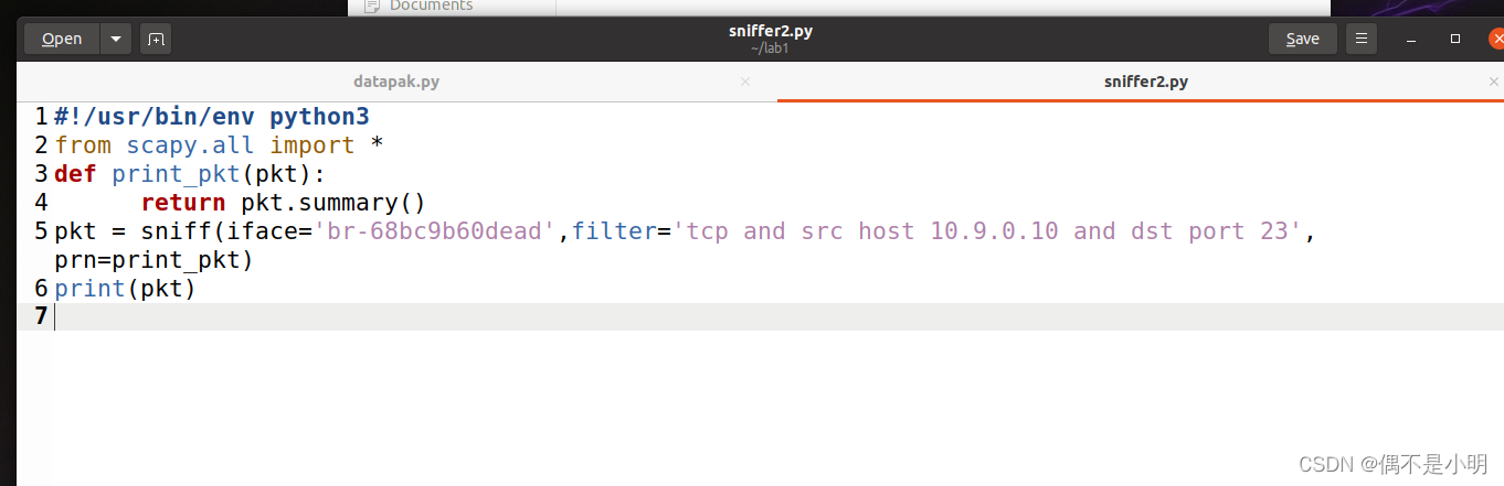 Lab1 Packet Sniffing and Spoofing Lab-CSDN博客