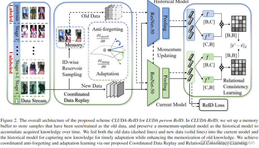Lifelong Unsupervised Domain Adaptive Person Re-identification with Coordinated Anti-forgetting ...