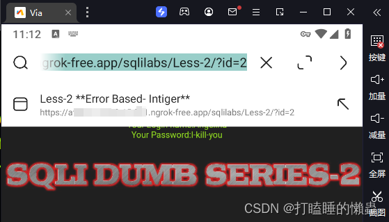 Ngrok内网穿透神器——Windows/Linux安装教程-CSDN博客