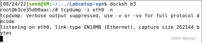 seedlab:V** tunneling The Container Version_seedlab:virtual private network lab-CSDN博客