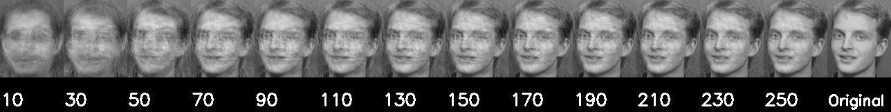 EigenFace的原理、实现及性能评估_eigenface算法-CSDN博客