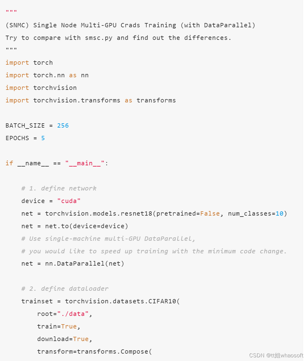Pytorch训练之分布式pytorch 模型 Setup Csdn博客