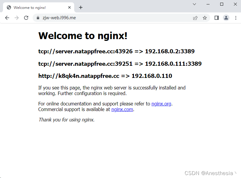 NATAPP + i996 内网穿透-CSDN博客