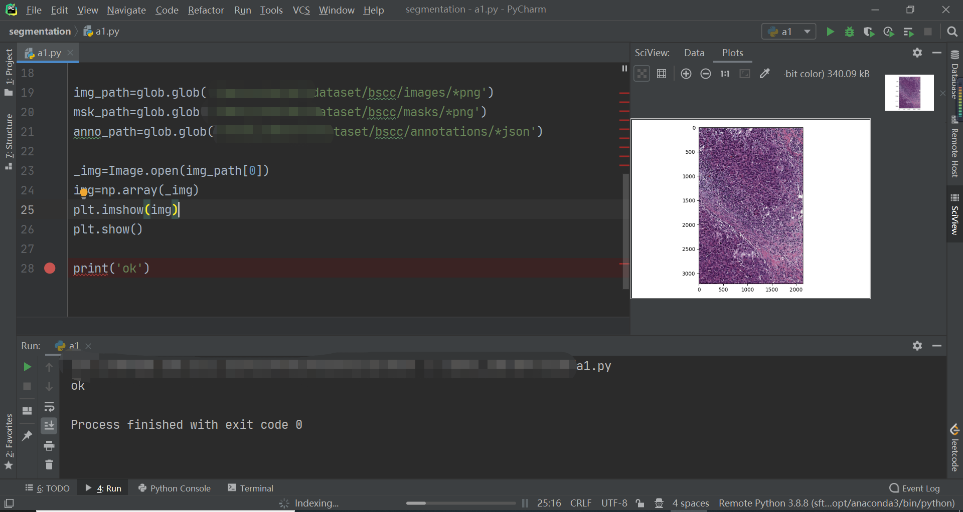 pycharm远程linux服务器的plt.show()不显示_linux社区版pycharm无法显示plt-CSDN博客