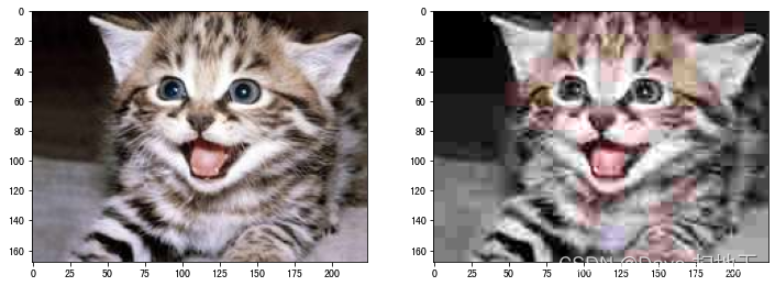 Albumentations 中的像素级图像增强可视化_albumentations colorjitter-CSDN博客