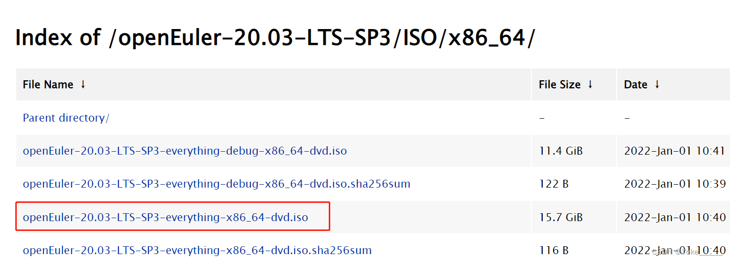 离线部署欧拉系统OpenEuler20.03 LSP3 所需要的依赖，思路通用于各个Linux系统，看这一篇就够了_离线安装openeular ...