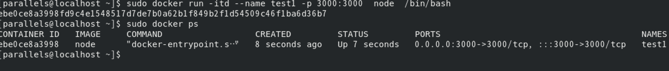 Docker快速搭建Node.js Express运行环境_express docker-CSDN博客