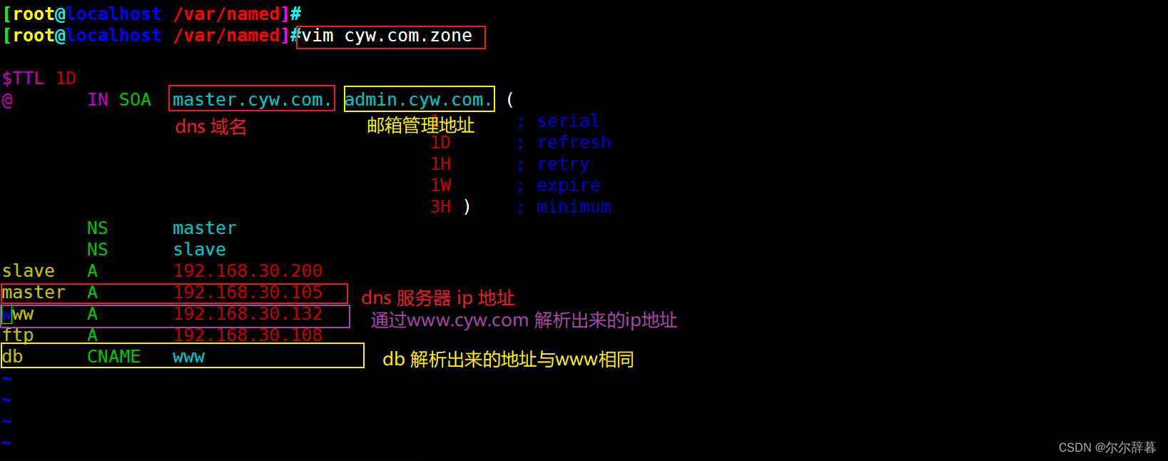Linux Dns 域名解析服务(bind正向解析、主从复制)bind主从 Csdn博客