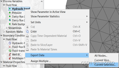 FEFLOW建模与应用-CSDN博客