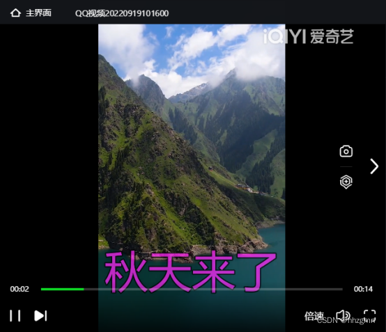 什么是Srt字幕，怎么添加srt字幕_srt字母格式-CSDN博客