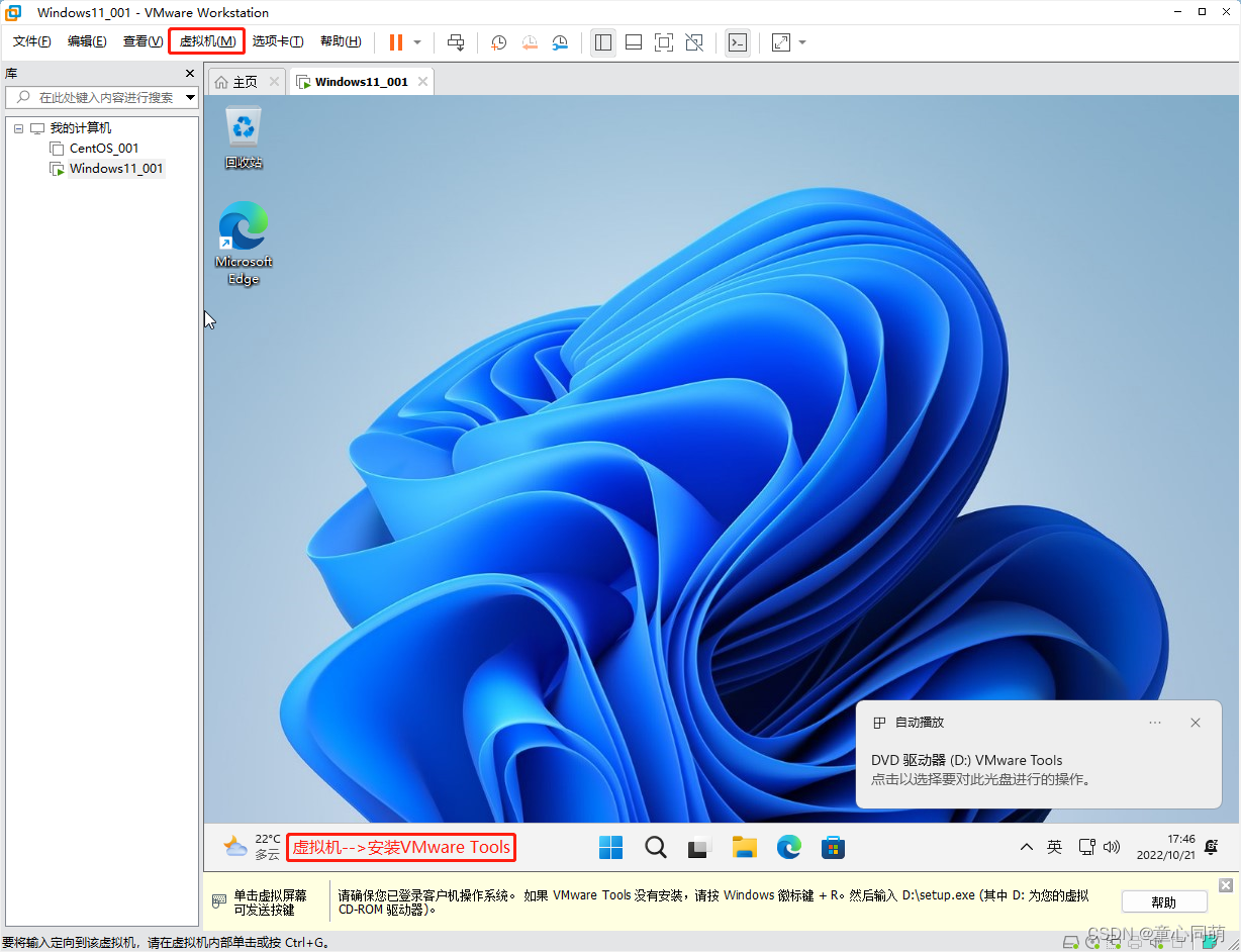 VMware安装Win11(珍藏版)_vmware17 win11 efi network timeout-CSDN博客