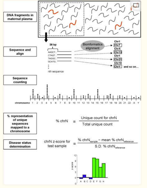 生信分析：无创产前检测_nipt数值解读-CSDN博客