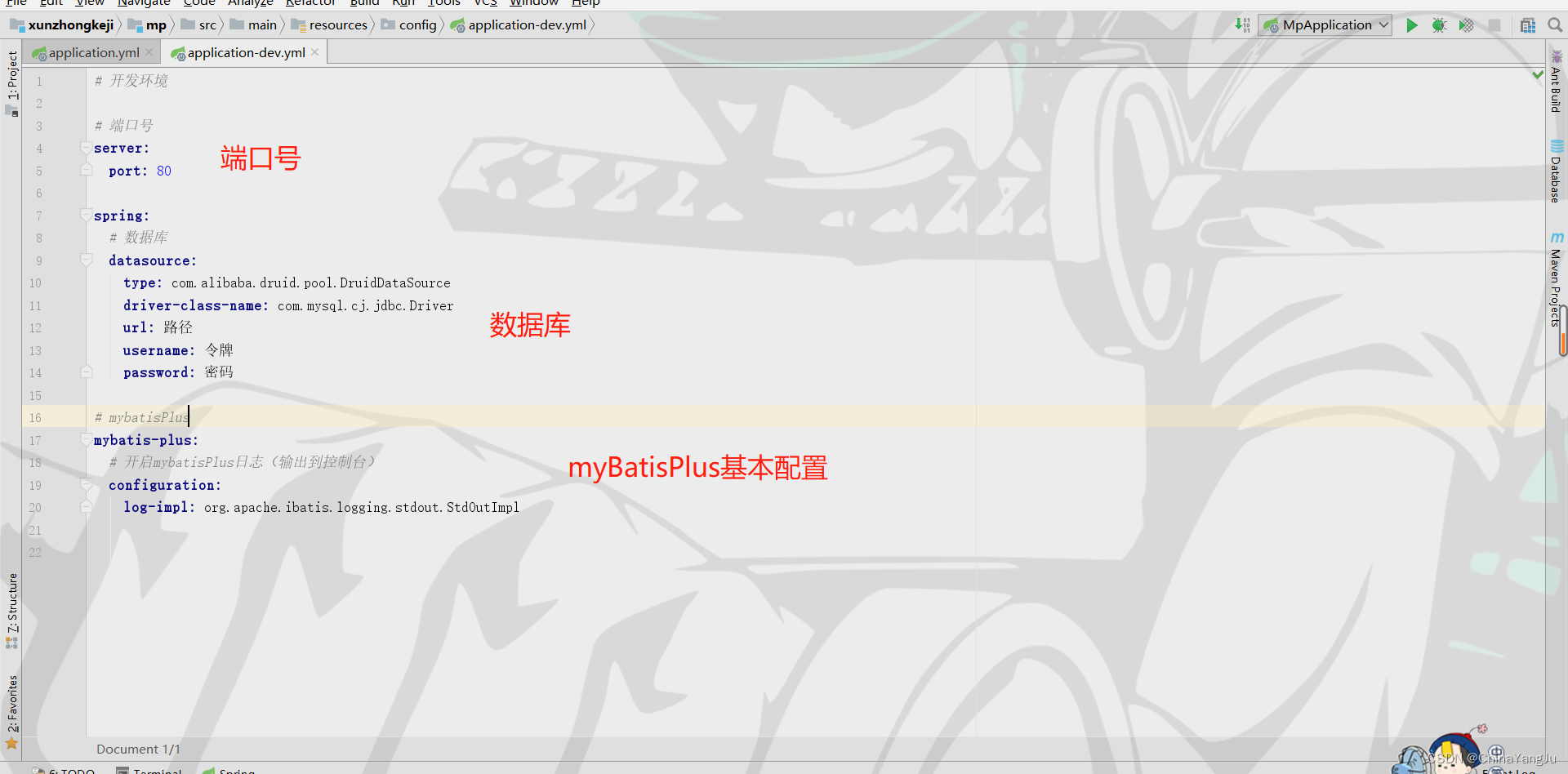 SpringBoot集成MyBatis-Plus + MyBatis-Plus（3.5.3版本）代码生成器_mybatisplusgenerator 3.5.3-CSDN博客
