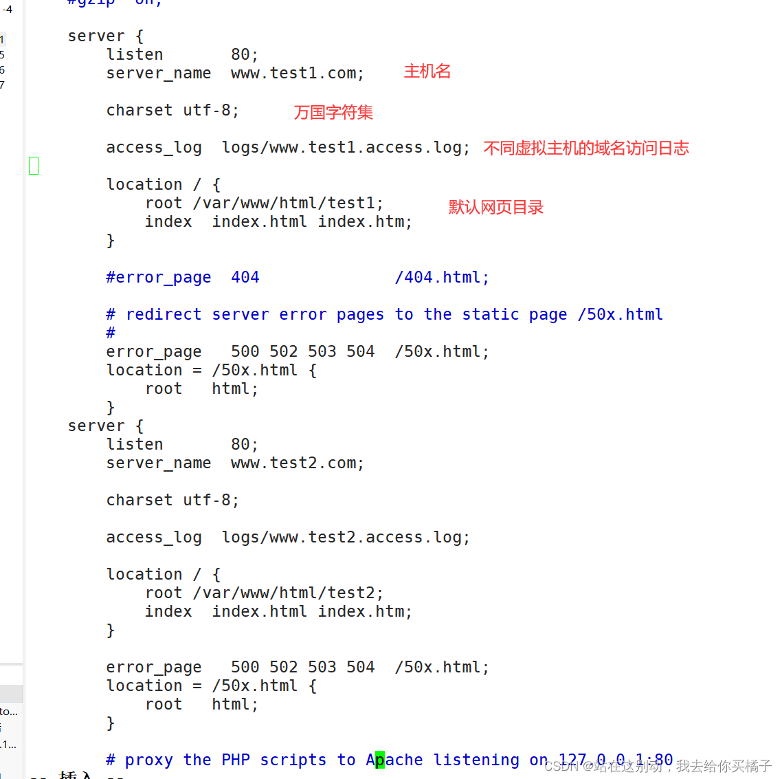 Nginx网站服务详解(第二部分:nginx服务的主配置文件 ——nf)vim Nf Csdn博客