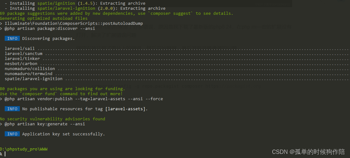 laravel10安装报错Your requirements could not be resolved to an installable ...