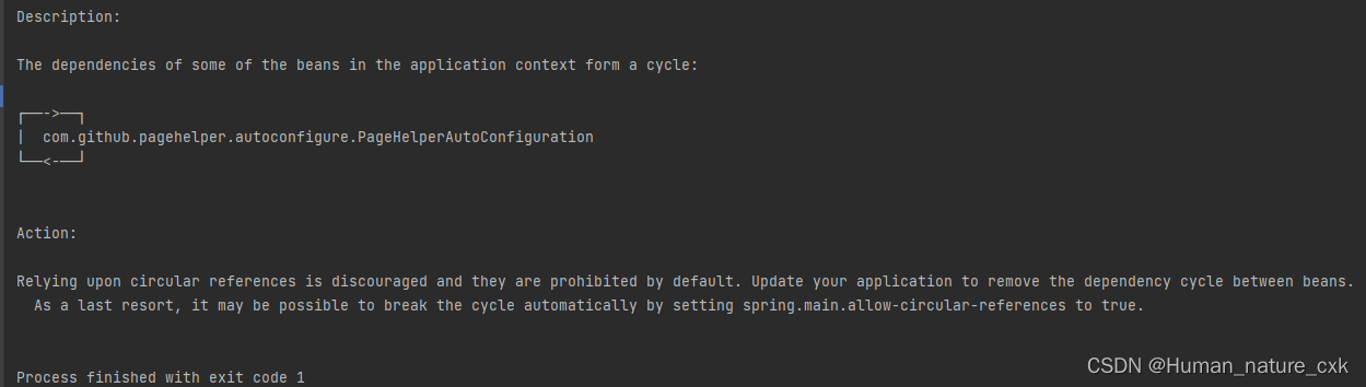人人开源代码生成器启报错_人人开源代码生成器报错-CSDN博客