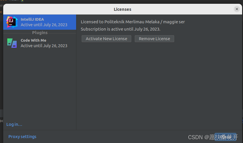 Ubuntu IDEA安装和配置以及eclipse下载_ubuntuidea下载-CSDN博客
