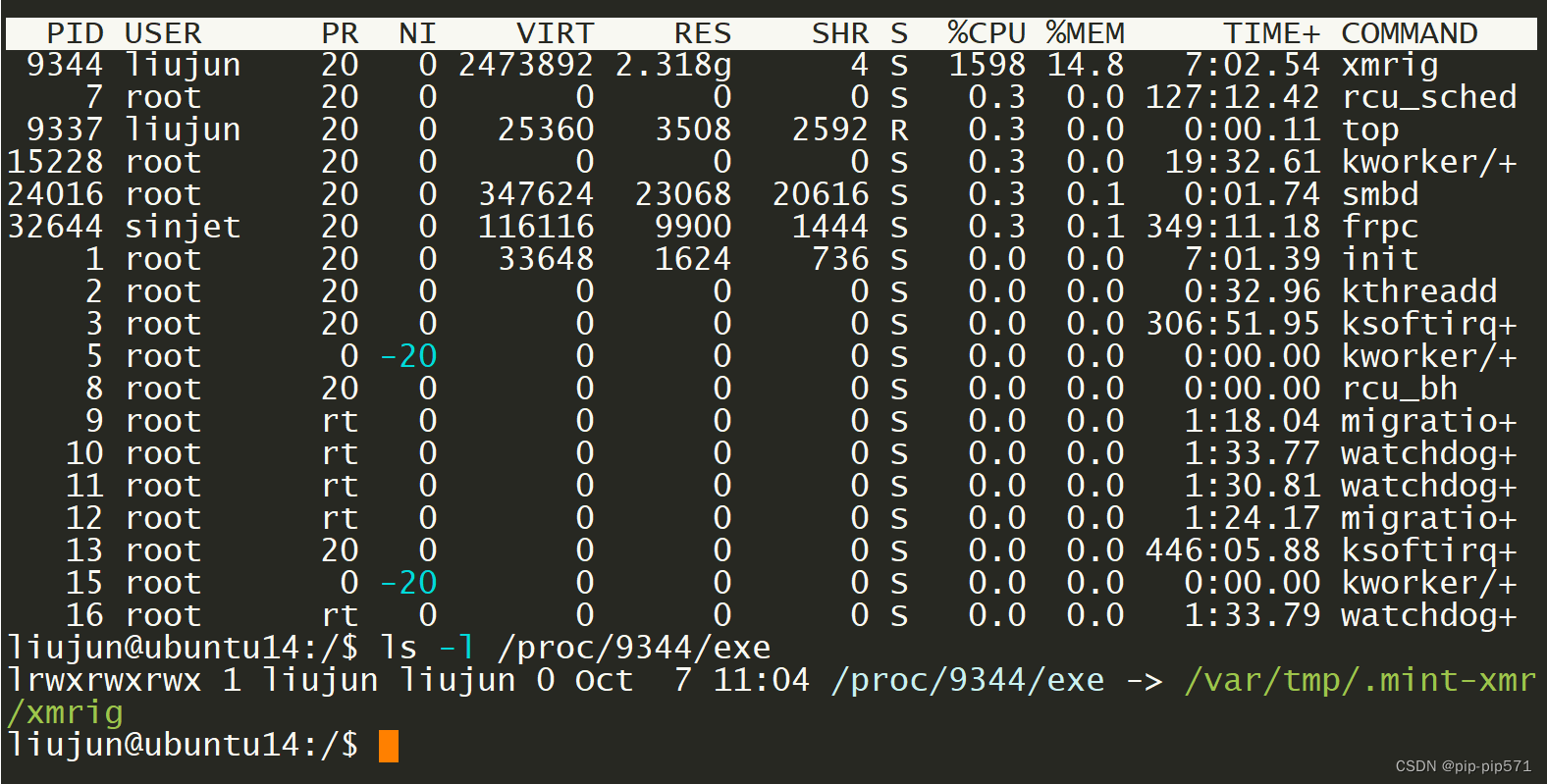 服务器xmrigCPU高占用_java xmrig-CSDN博客