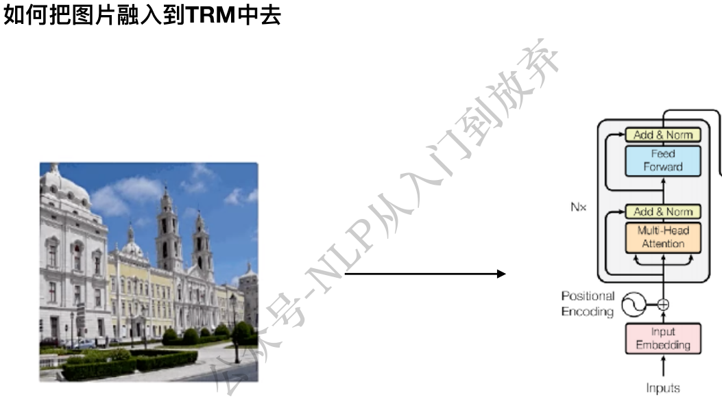 Vision Transformer细节理解_transformer中的cls-CSDN博客