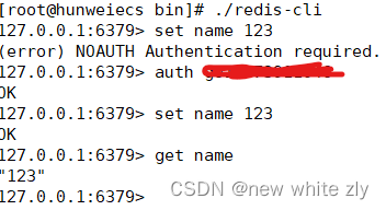 linux系统redis环境搭建_redisplus 不能编辑-CSDN博客
