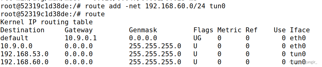 seedlab:Virtual Private Network Lab-CSDN博客