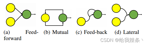 CircuitNet: A Generic Neural Network to Realize Universal Circuit Motif Modeling_回路神经网络 ...
