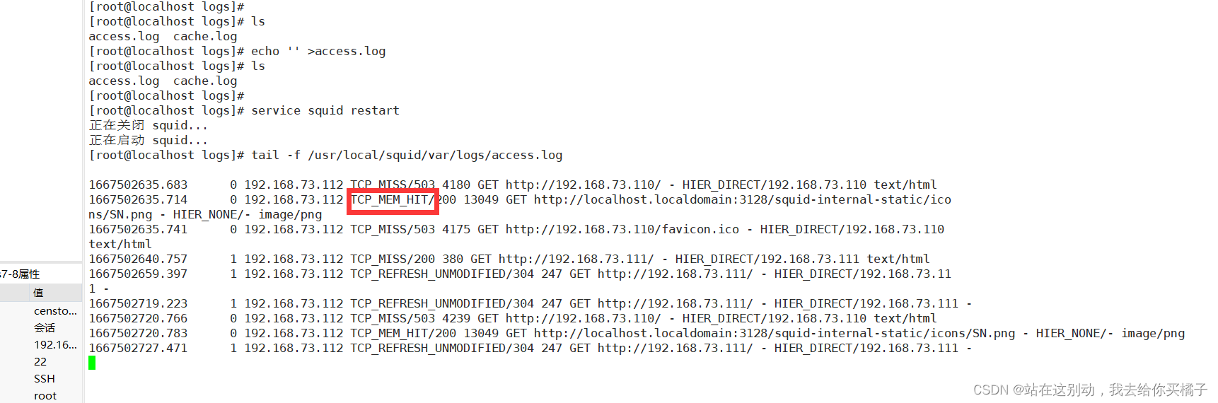 web缓存—Squid代理服务-CSDN博客