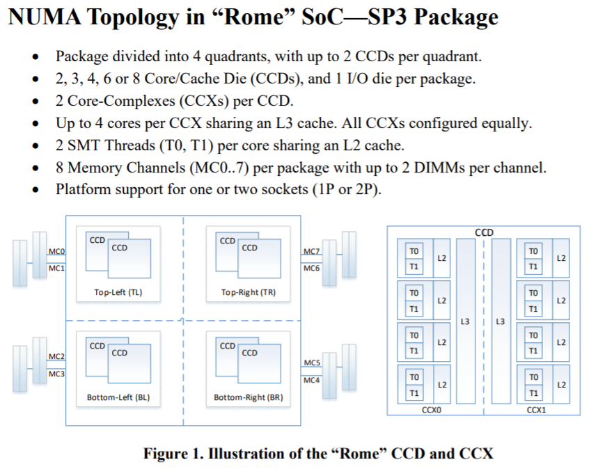 AMD EPYC架构_amd epyc 架构-CSDN博客