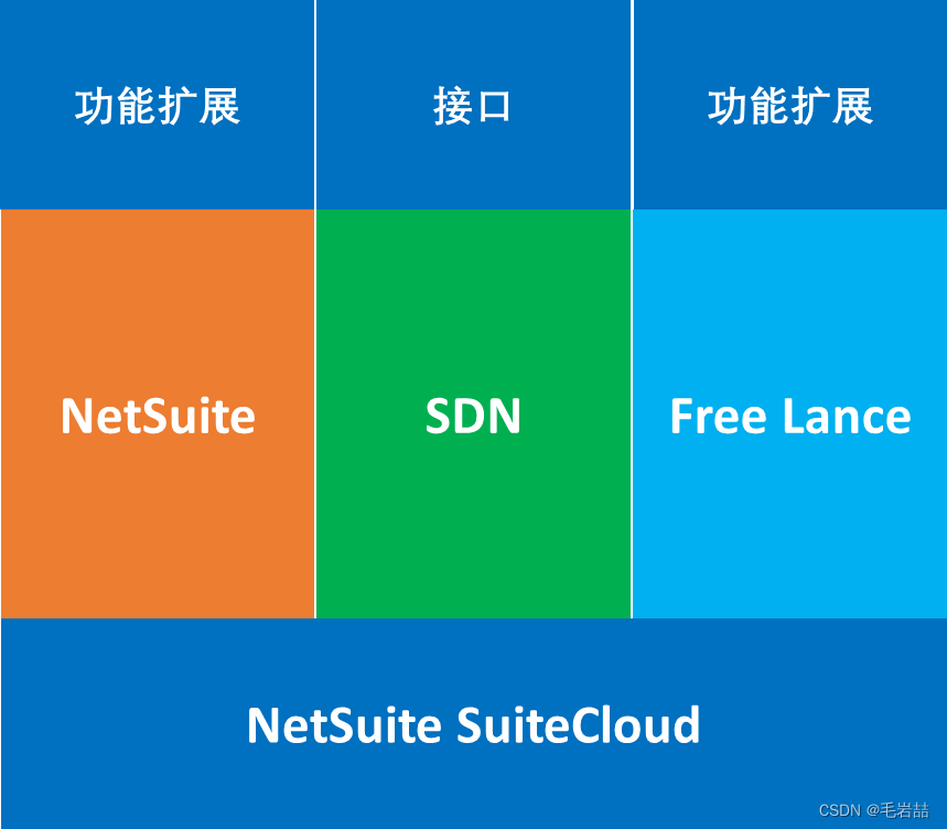 NetSuite知识会 第六谈: SuiteApps—隐秘的功能宝藏_suite apps-CSDN博客