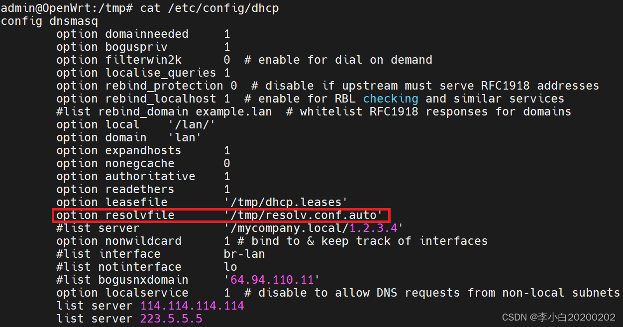 [openwrt]DNS解析流程_dnsrebind openwrt-CSDN博客
