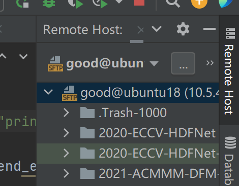 Pycharm的Remote Host_pycharm remote host-CSDN博客