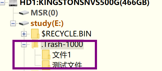 .Trash-1000文件删除（99.99%适用）-CSDN博客