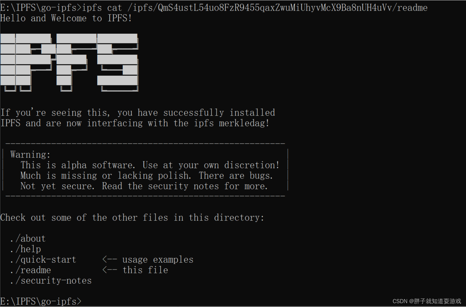 Python使用IPFS_python ipfs-CSDN博客