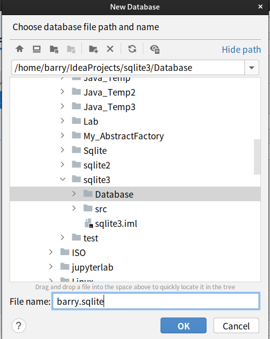 Idea中使用sqlite数据库idea Sqlite Csdn博客 