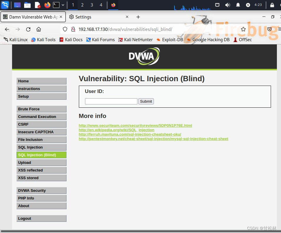 利用漏洞注入（sql注入）_在kali浏览metasploitable中dvwa的安全级别设置为low,然后完成“sql inj-CSDN博客