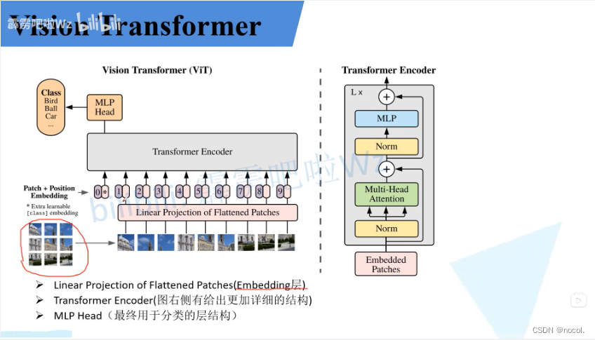 什么是VIT_vit 3*224*224-CSDN博客