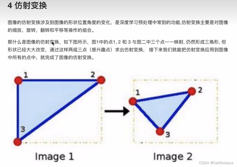 Opencv学习 P4 P18 Opencv基本操作介绍及图像基础处理c Opencv定义全255的图 Csdn博客