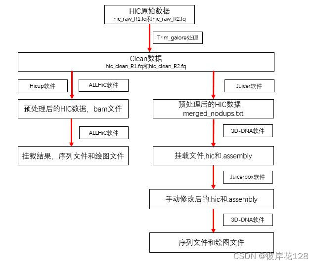 HIC测序数据生信分析——第一节，总体概述_hic数据分析流程-CSDN博客