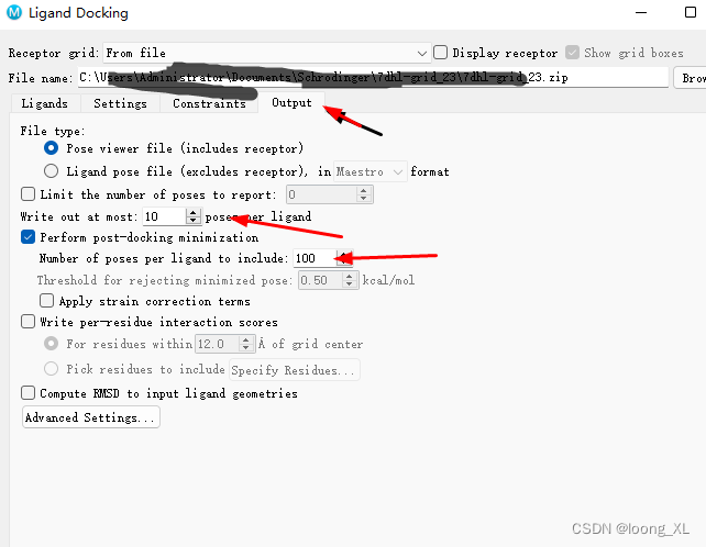 Maestro 薛定谔软件简单分子对接案例_loong_XL的博客-CSDN博客