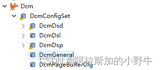 Autosar Dcm模块之Vector Configurator Pro配置（通用配置 ...