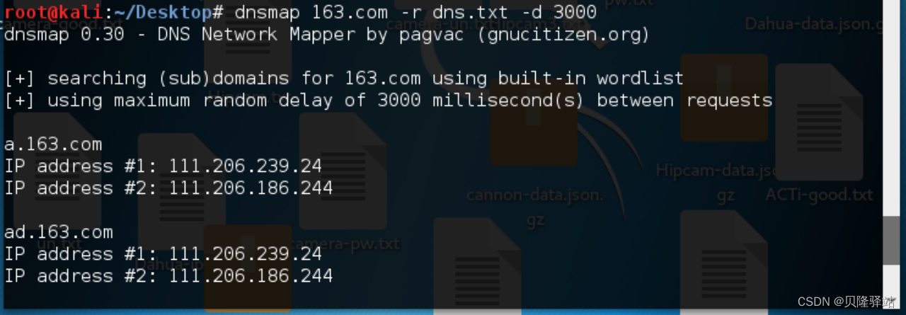 DNS信息搜集方法_通过dig查询bind版本-CSDN博客