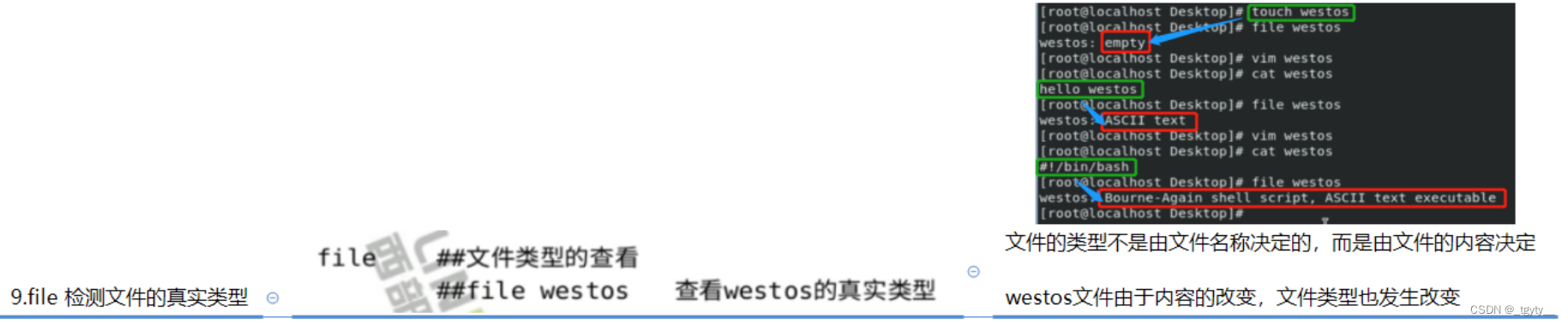 Linux基础(二)系统中的文件管理 Csdn博客