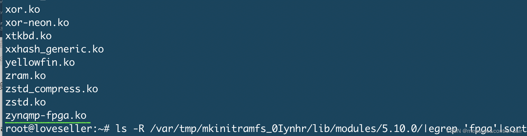 mkinitramfs制作新的initrd-CSDN博客